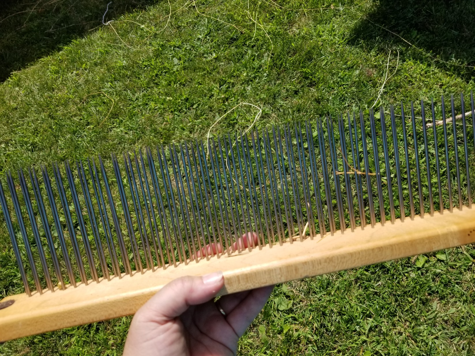 Seed to Sail: Growing the flax – Spindles In the Wild