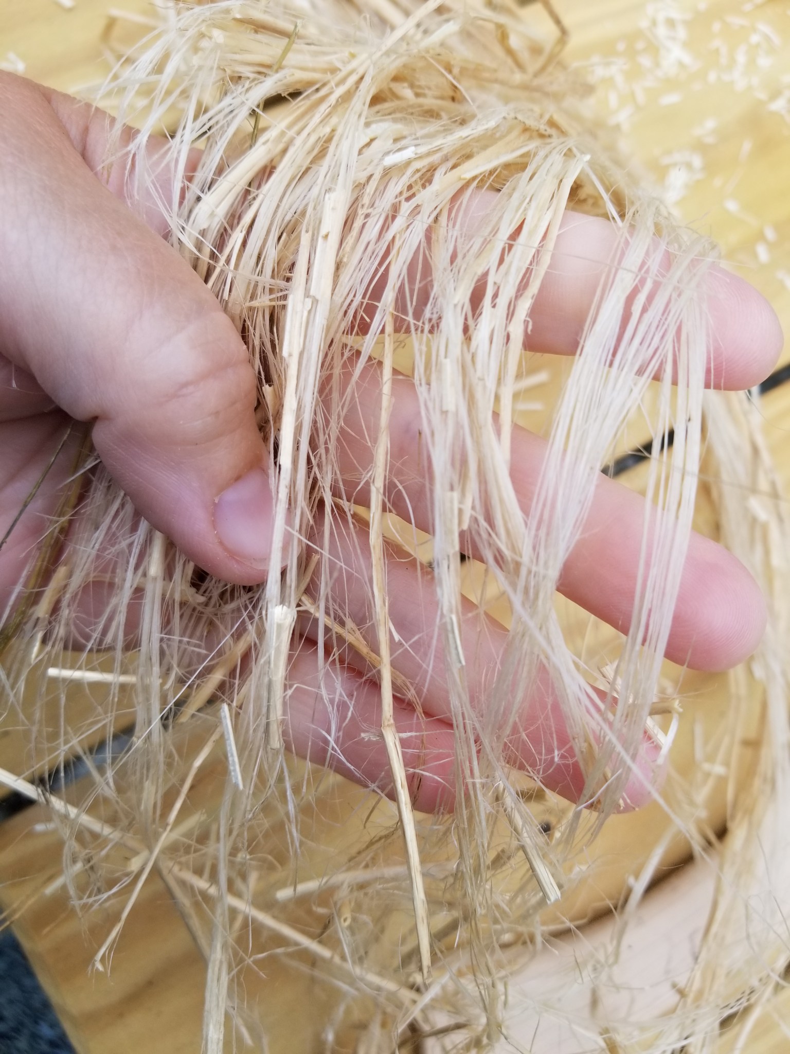 Seed to Sail: Dressing the flax – Spindles In the Wild