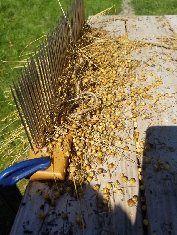 Seed to Sail: Dressing the flax – Spindles In the Wild